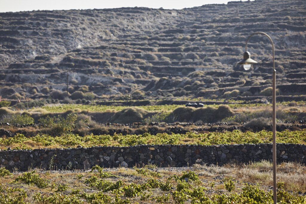 HOMEPAGE - MIKRA THIRA